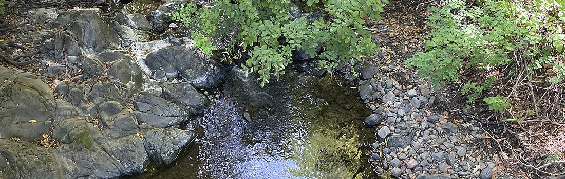 San Geronimo Park | Marin County