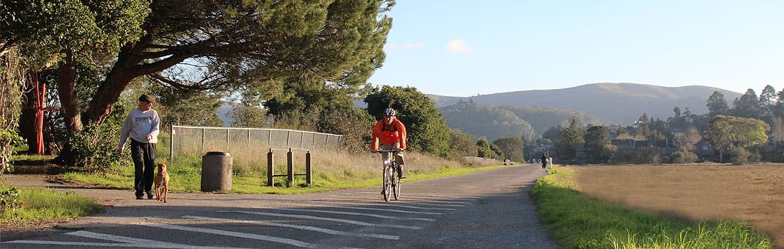 Mill Valley / Sausalito Pathway | Marin County